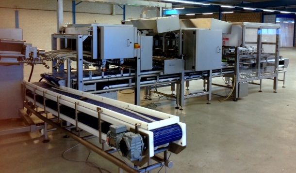 Rinc Europe Garlic Injecting System with Outfeed